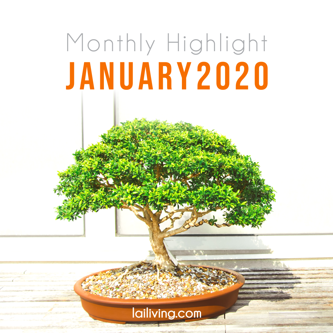 Monthly Highlight : January 2020 | lailiving