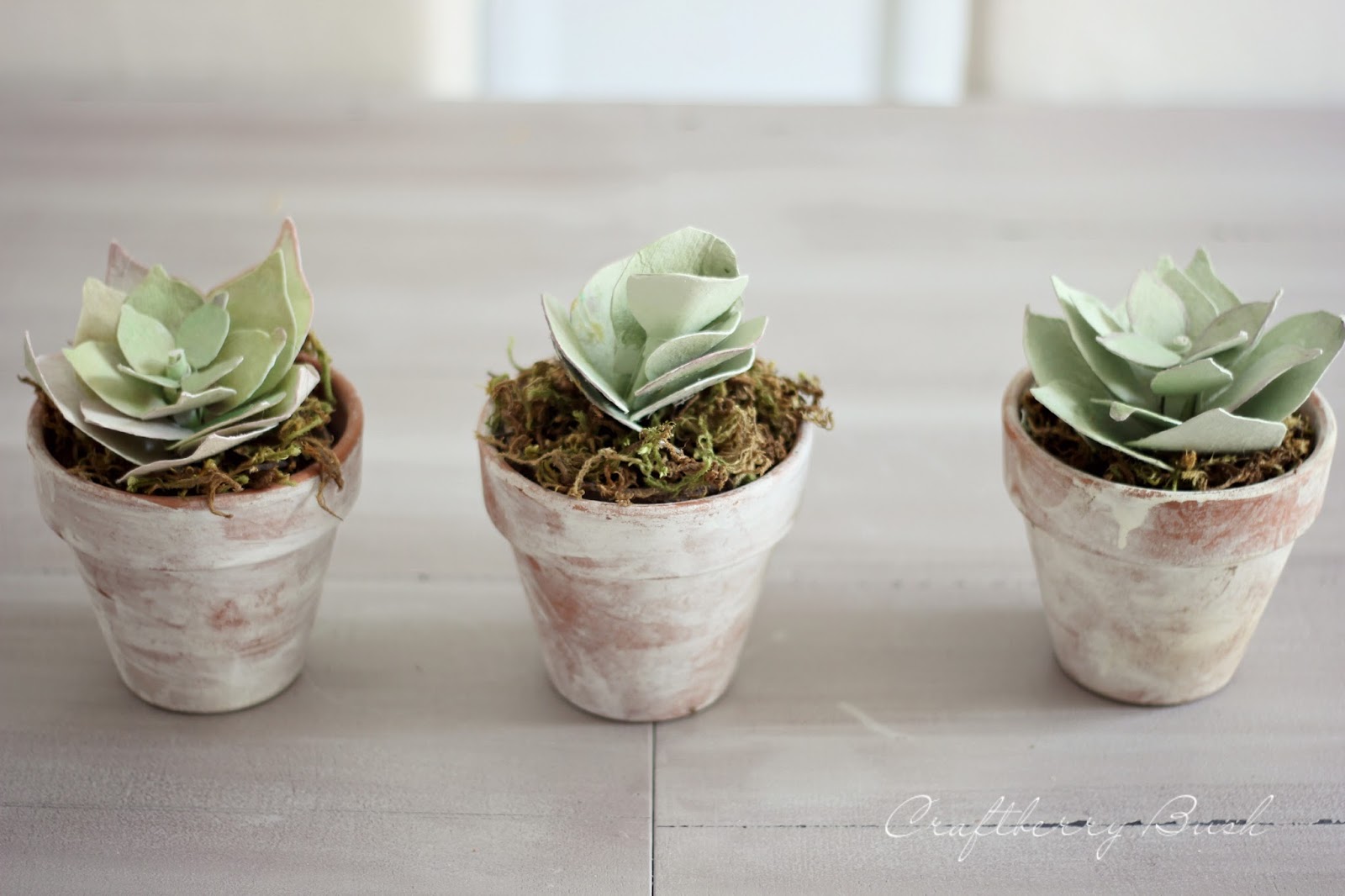 Paper succulent tutorial | Craftberry Bush | Bloglovin’