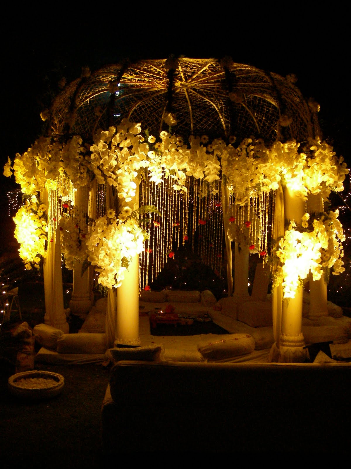 Flora, Etc...: delhi delight