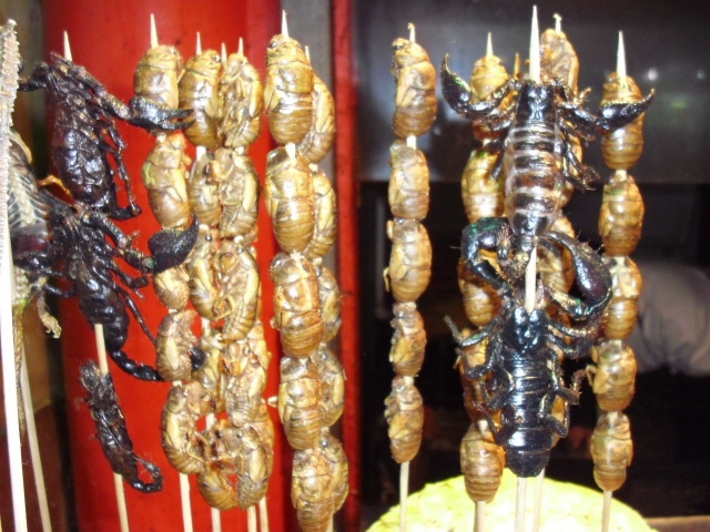 Meu Megabyte: As comidas exóticas da Ásia