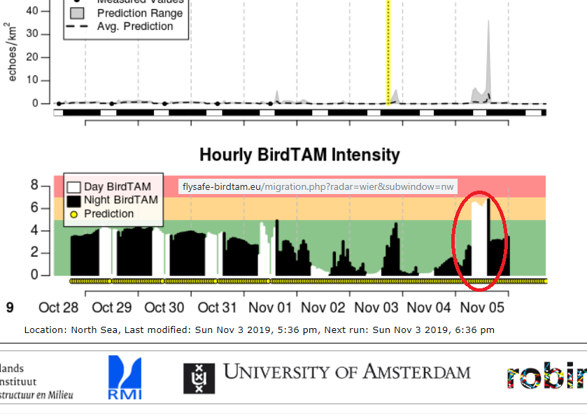 Birding the southern Medway: How to bird the Medway