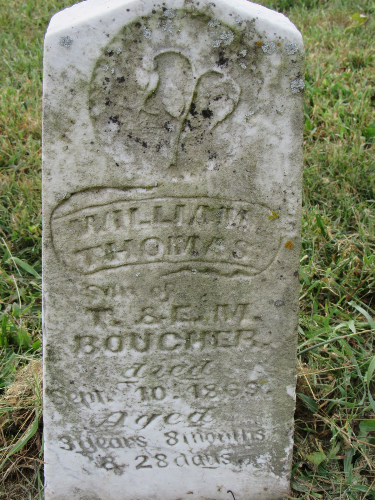 A Walk Through The Tombstones: 2019