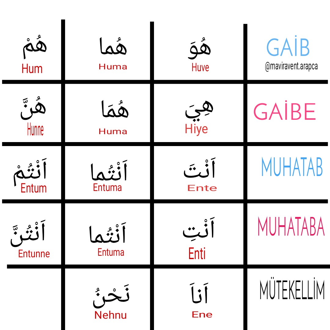 Arapçada Merfu Munfasıl Zamirler / Arapça Gramer Dersleri