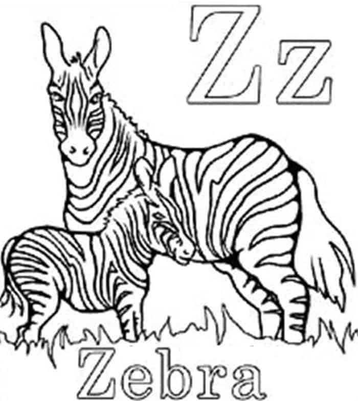 Zebra Coloring Pages For Kids - Yuk Sebar