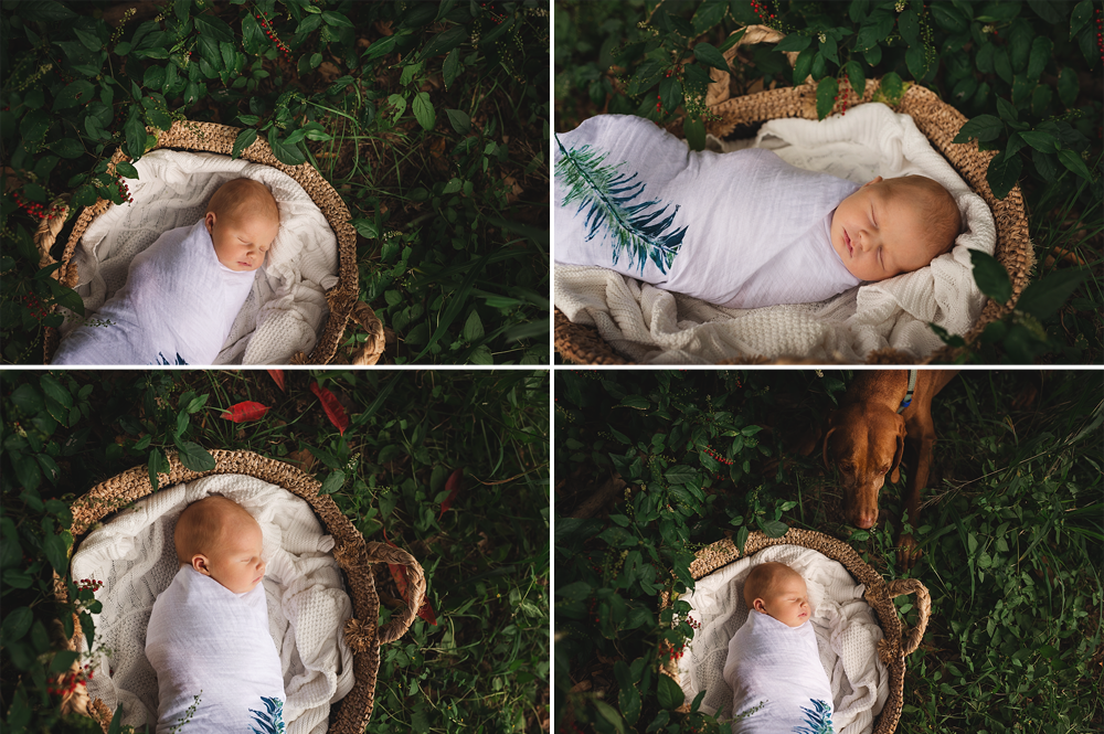Xanthe Photography : Earthside - North Lakes Brisbane Newborn Photographer