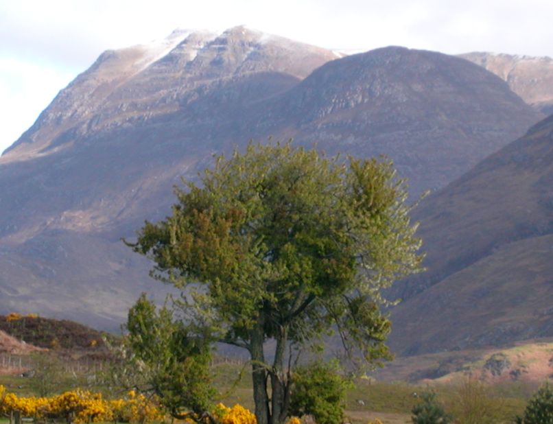 Carla Nayland Historical Fiction: Slioch