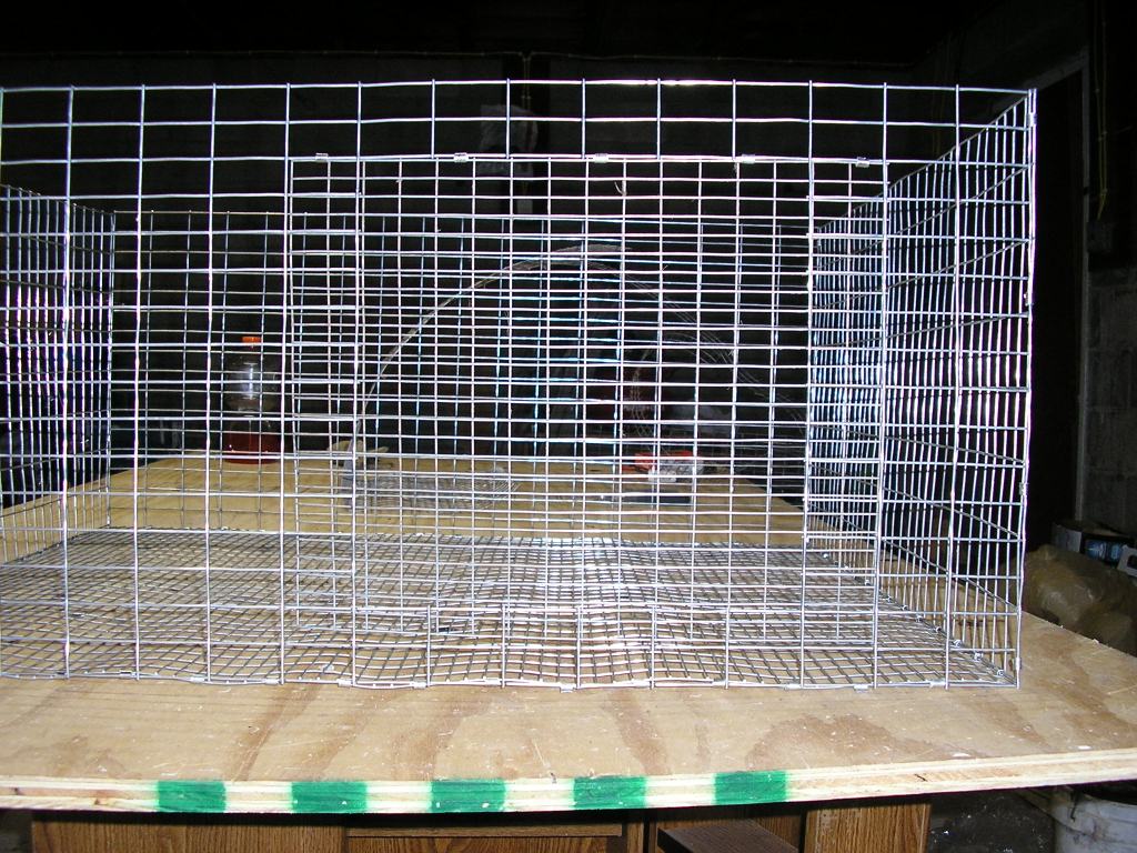 Shaktopia: How to build a rabbit cage