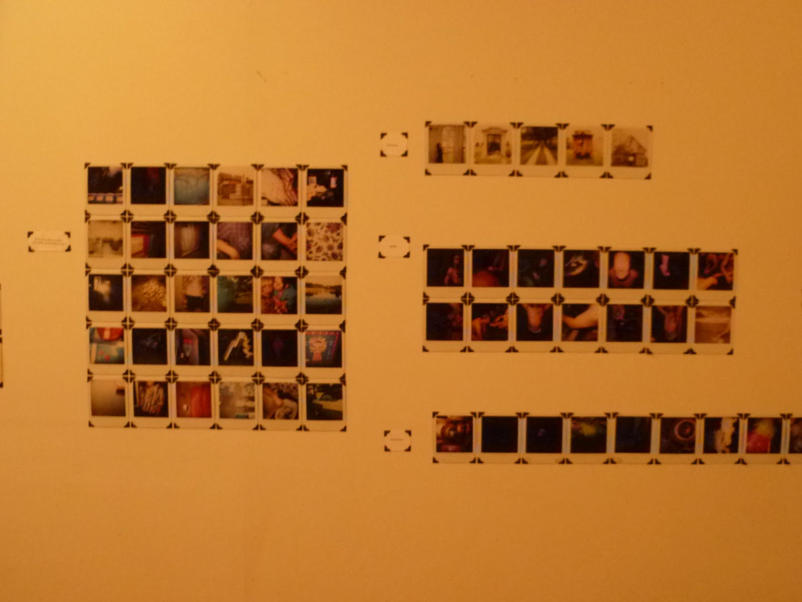 Vicissitudes of the Damned: Issue No. 81: Feather Metsch's Polaroid ...