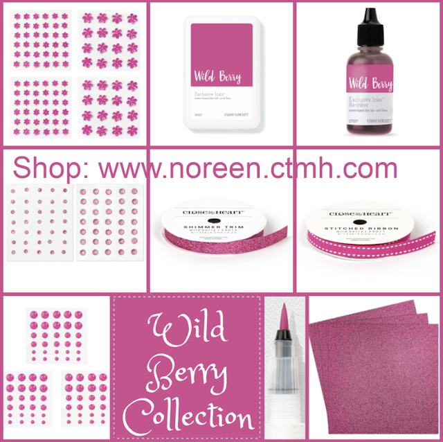 Noreen's Scrap N Chat: CTMH Wild Berry Color of the Year