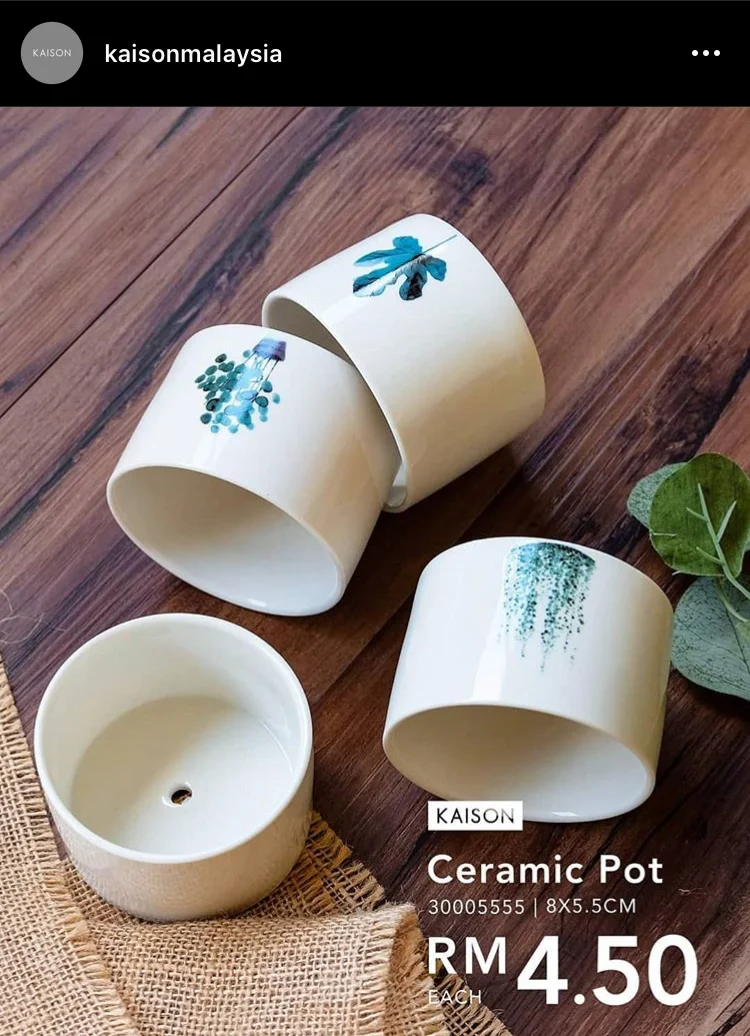 Tersuka Dengan Ceramic Pots KAISON | Blog Sihatimerahjambu
