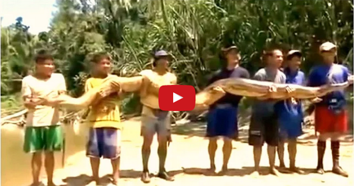 Uncontacted Amazon Tribe | The Amazon tribe rainforest people ...