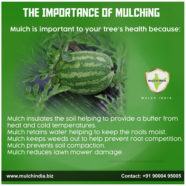 MulchIndia: The Importance of Mulching - Mulch India Call us: +91 ...