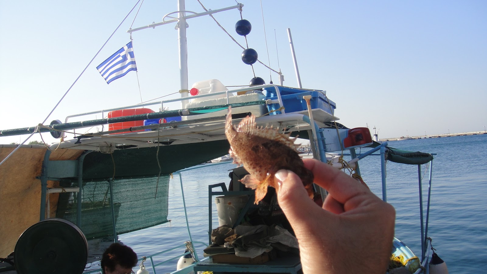 Ταξιδεύοντας στα σύννεφα..: ΠΥΘΑΓΟΡΕΙΟ ΚΑΙ ΚΟΚΚΑΡΙ ΣΑΜΟΣ