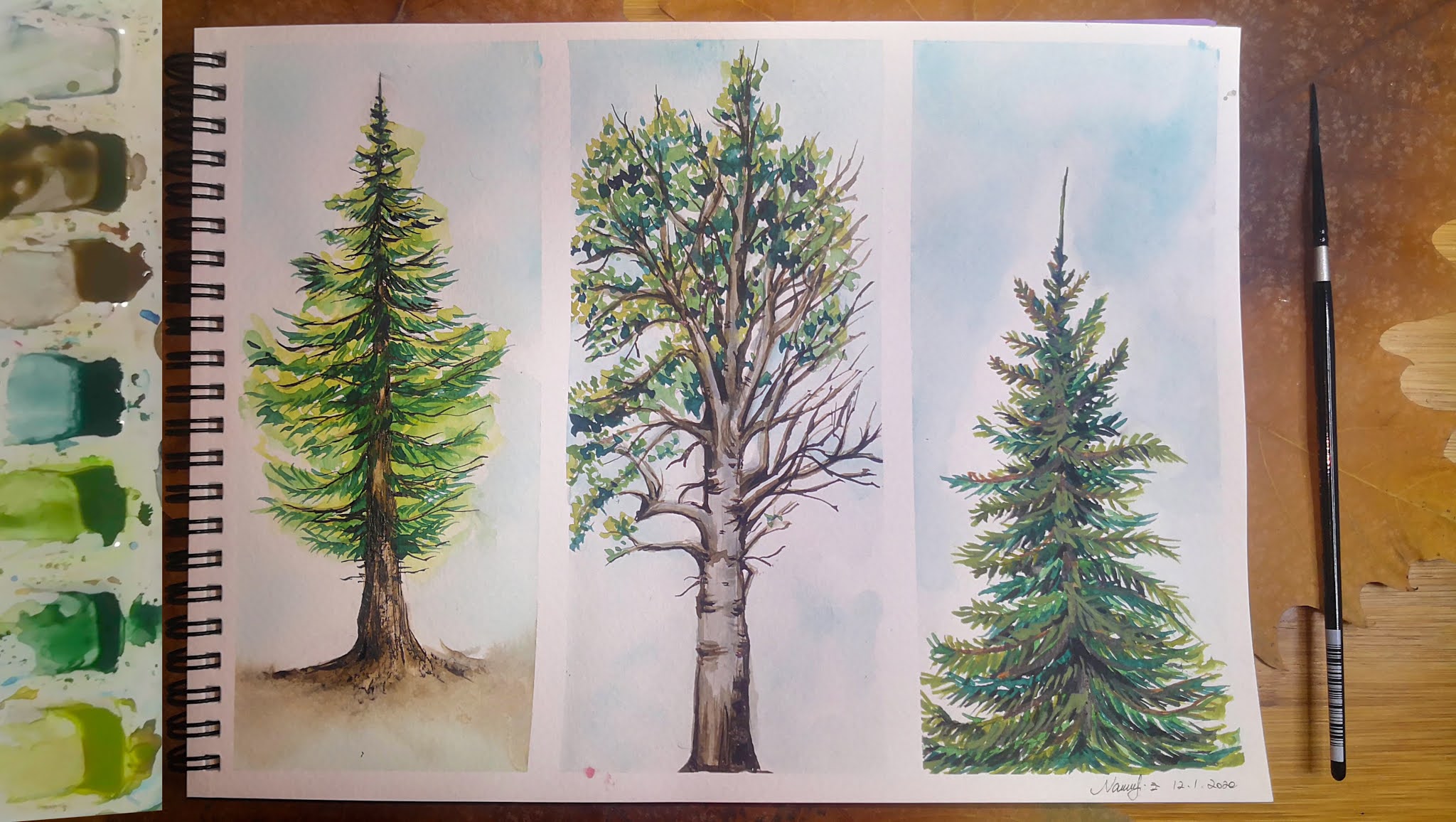 3 How to draw Watercolor trees step by step tutorial, come to see my ...