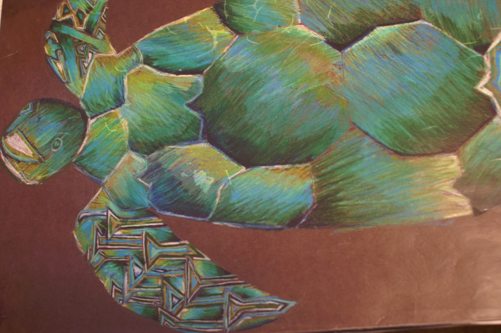 Art to Go: Colored Pencil Sea Life