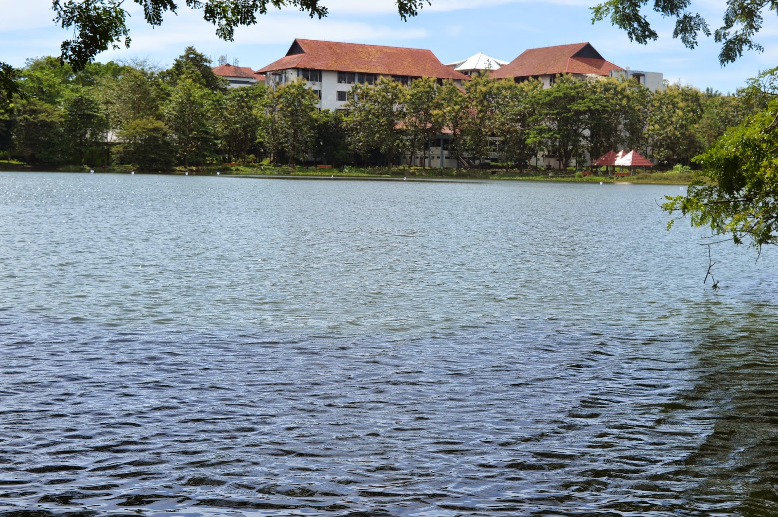 mozaik arsitek : Pesona Danau UNHAS