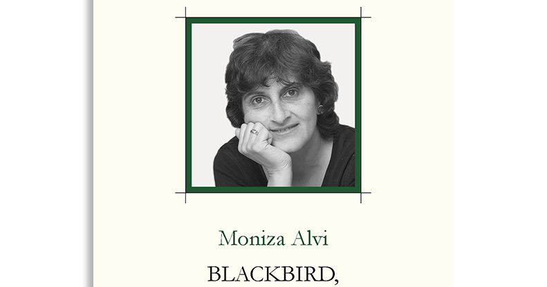 Il Blog di Fabrizio Falconi: Libro del Giorno: "Bye Bye Blackbird" di ...