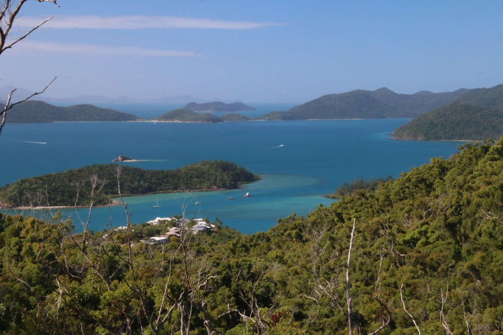 OurTripDreaming: Swamp Bay and Mt Rooper, Conway National Park