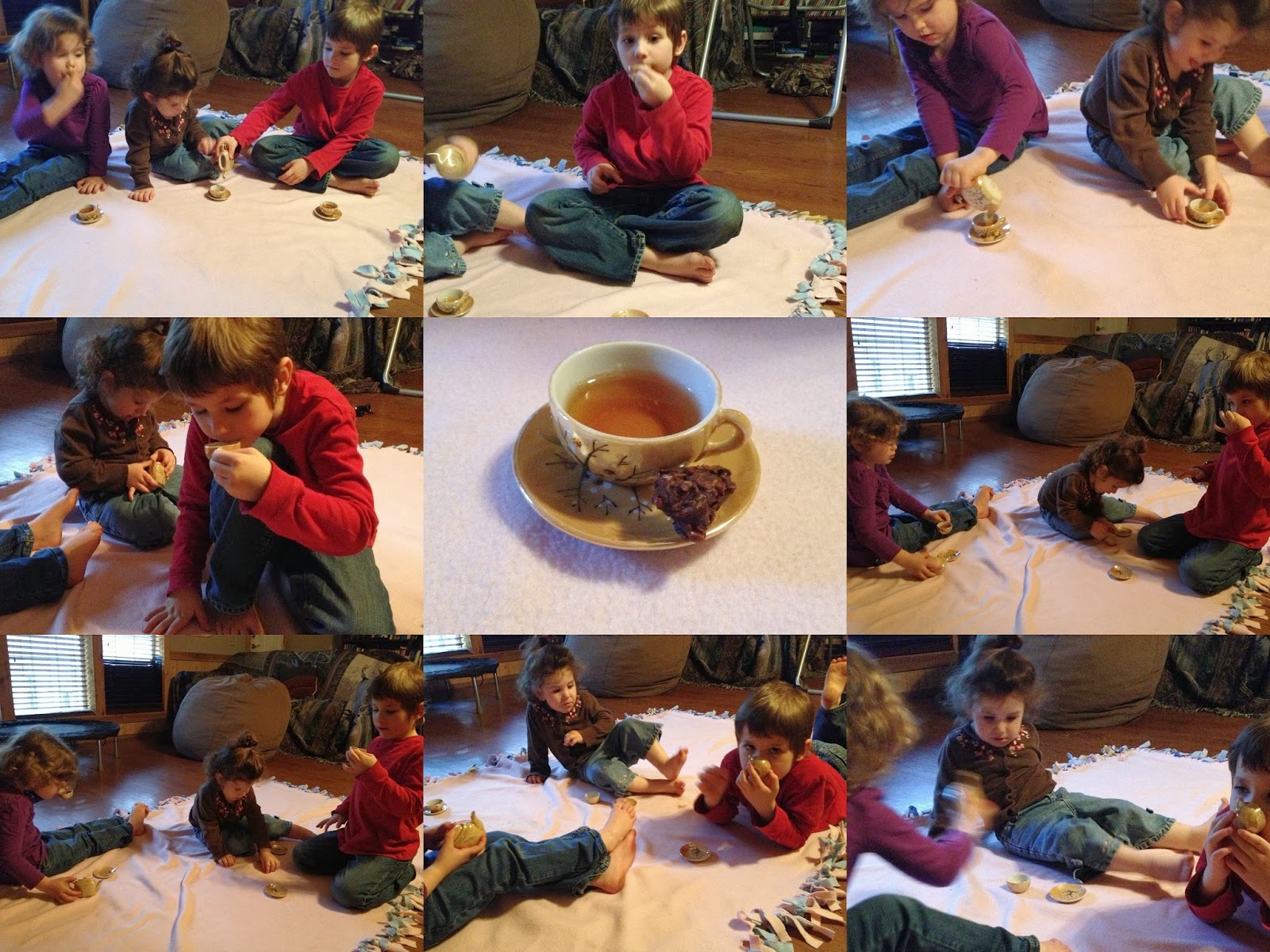 Lifestyle of Learning: Spiders and Tea