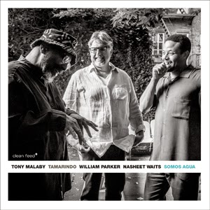 Tony Malaby - Tamarindo & Tubacello ~ The Free Jazz Collective