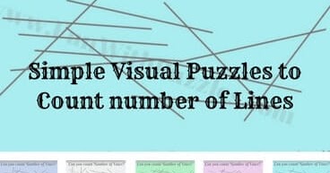 Visual Puzzles: Picture Puzzles and Answers for Adults