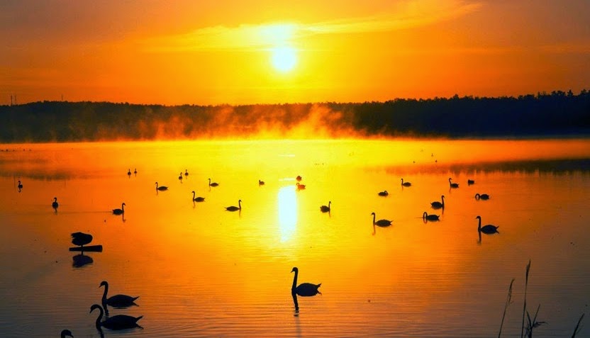 Leto u Finskoj ~ F I N S K A