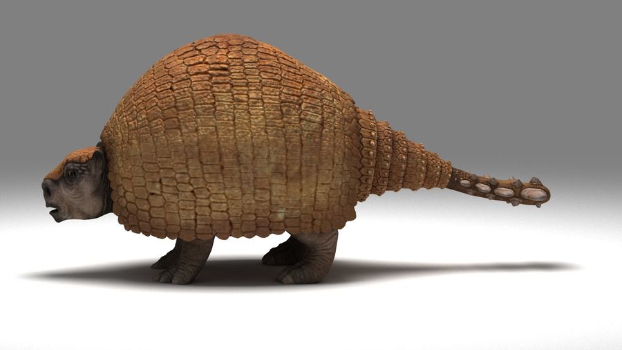 Noticias de Paleontologia: Recuperan fósiles de Panochthus, el ...