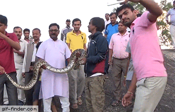 90 Miles From Tyranny : The 90 Miles Mystery Box: Episode #762