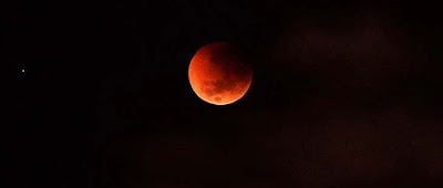 Blood red moon spotted in Sydney