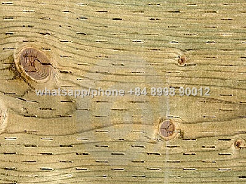 Incised Lumber