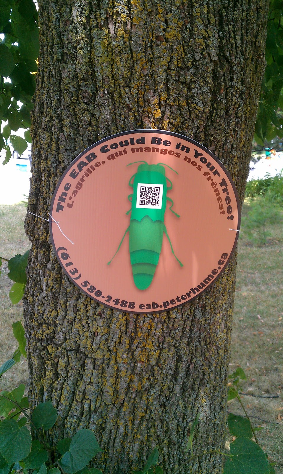 Peter Hume is the Ottawa City Councillor for Ward 18: Alta Vista ...