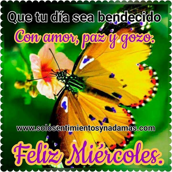 Que tu día sea bendecido con amor, paz y gozo. - Solo sentimientos y ...