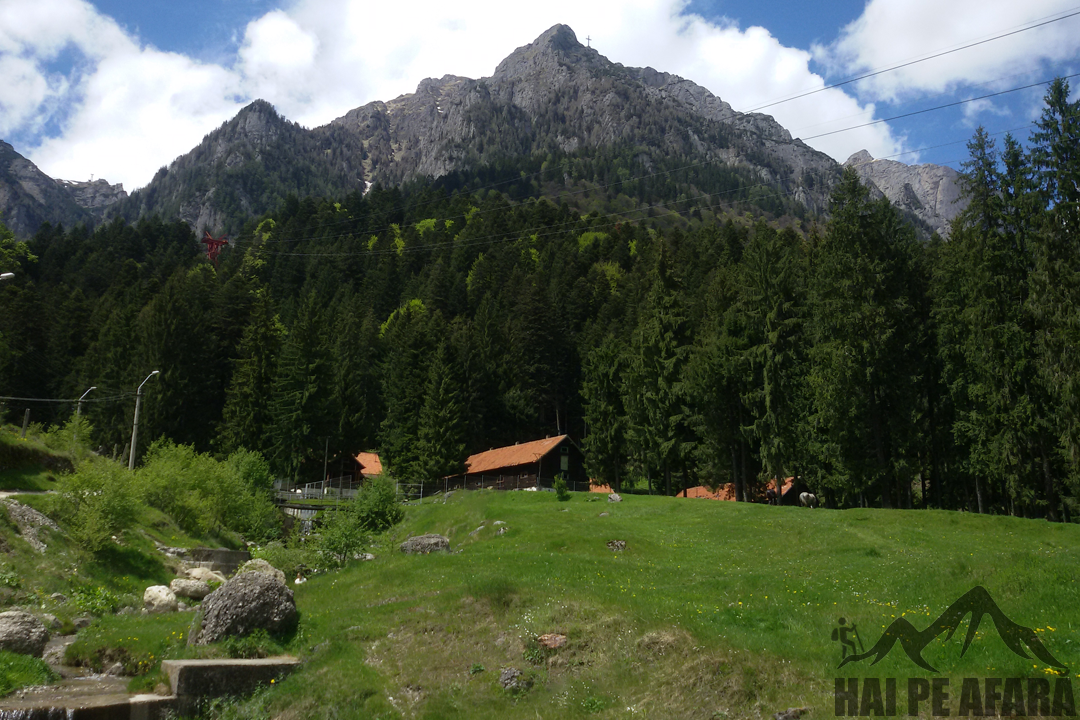 Traseul către Cascada Valea Spumoasă, Bușteni