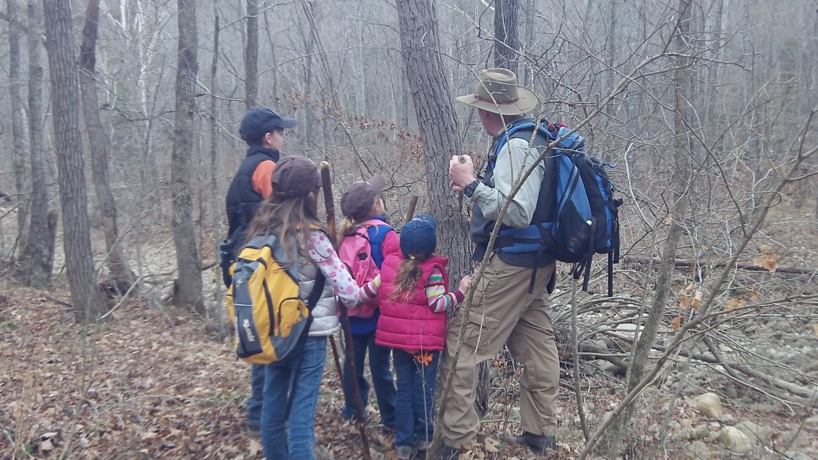 Faddis Family Funpage: A Walk in the Woods