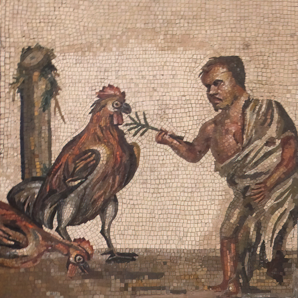 Roman Times: Alectryomancy and the sacred rooster