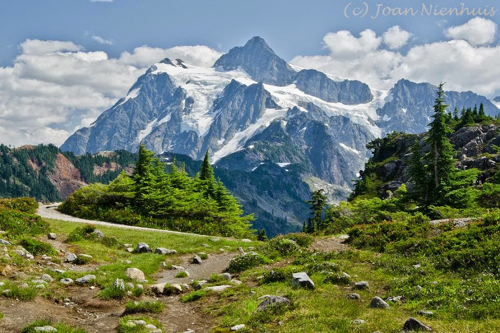 Pacific Northwest Photography: Huntoon Point Hike - Artist Ridge