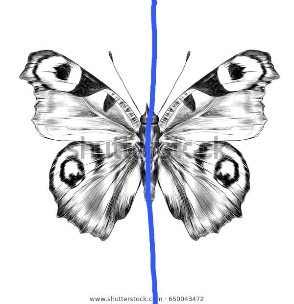 Sala de 4 - Jardín del Maryland: Jugamos con la simetría de los insectos..