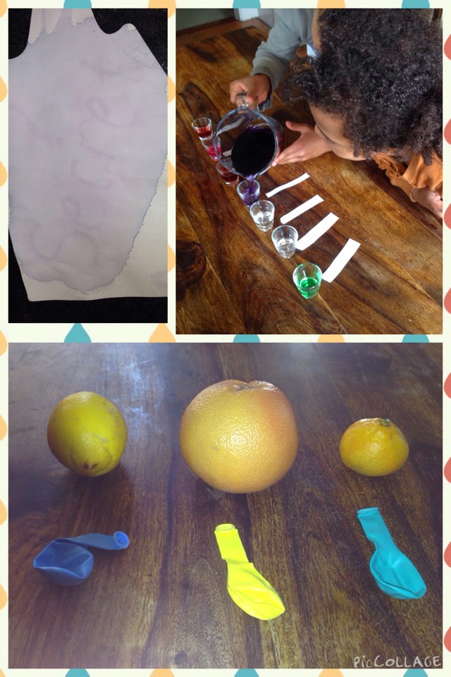 Homeschool Escapade: Exploring Acids and Bases