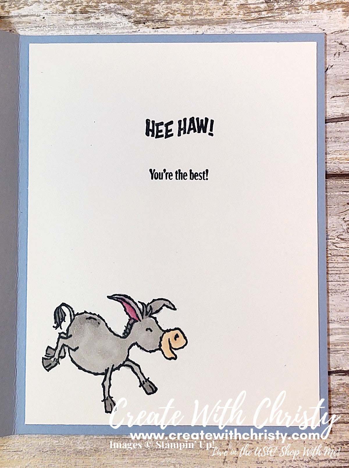 A Darling Donkeys Card For a Friend [Create With Christy]