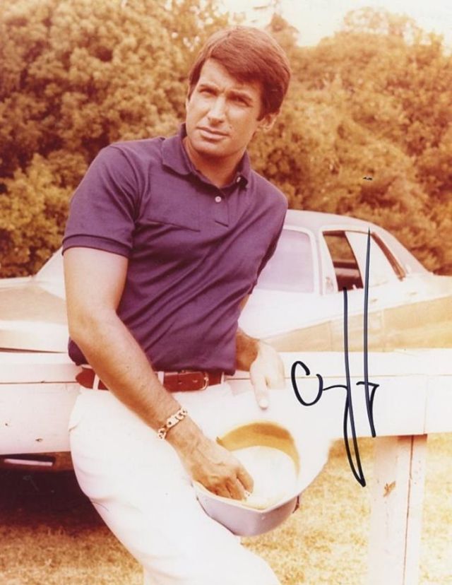 40 Handsome Portrait Photos of American Actor George Hamilton in the ...