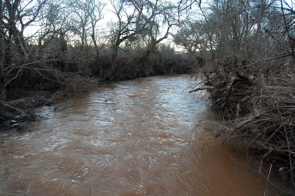 ALMANAQUE NATURAL: noviembre 2012