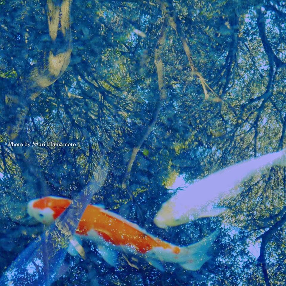 pececitos de almas: el poeta es un pescador pececitos de almas: el poeta es un pescador