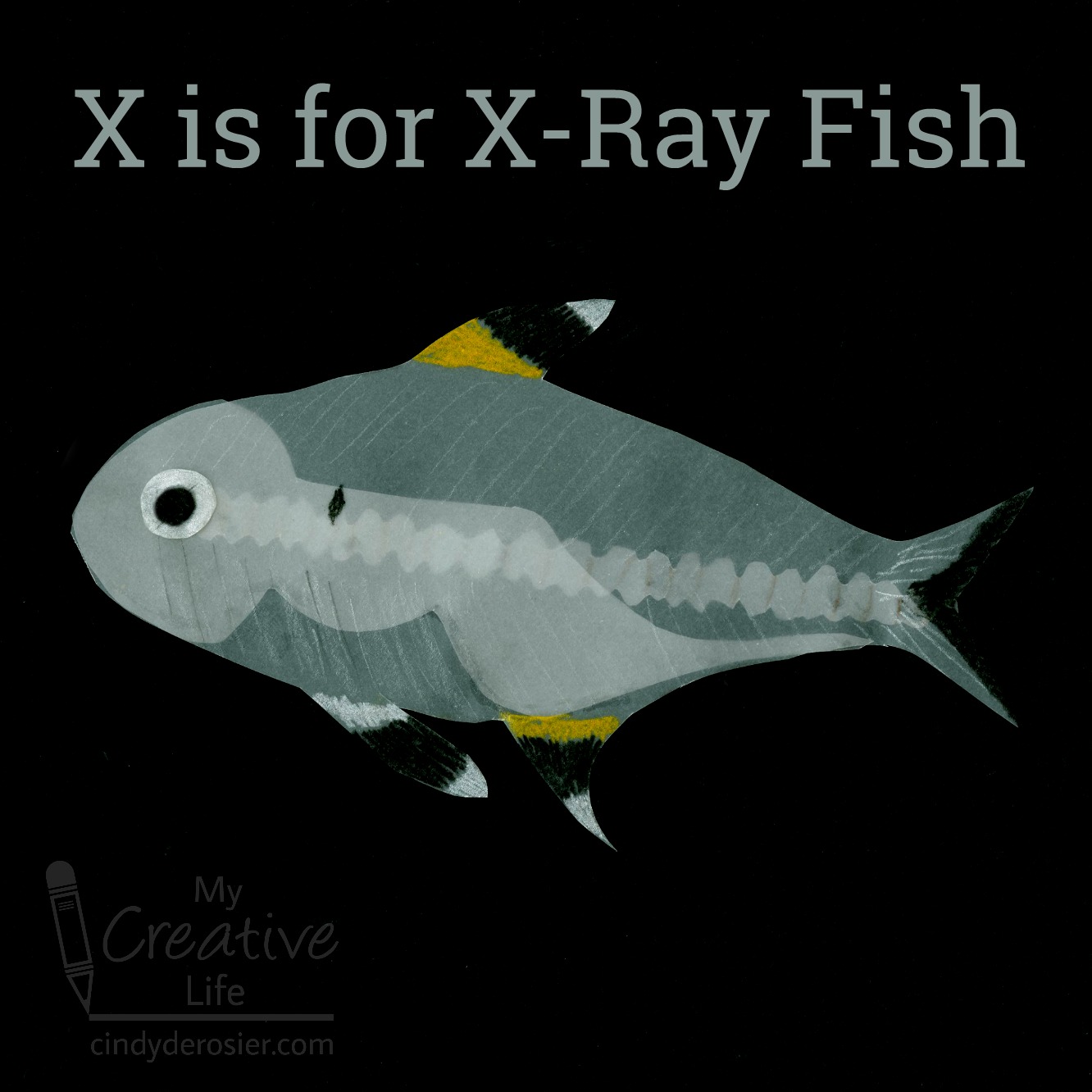 Cindy deRosier: My Creative Life: X is for X-Ray Fish