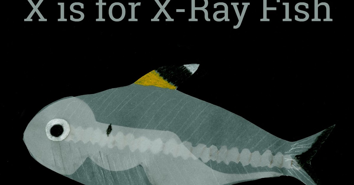 Cindy deRosier: My Creative Life: X is for X-Ray Fish