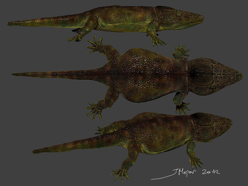 Paleontología y Evolución en la UCM: abril 2019