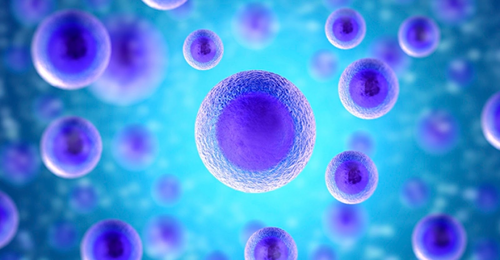 Las células madre cultivadas restauran el limbo del ojo dañado - Nomada Q