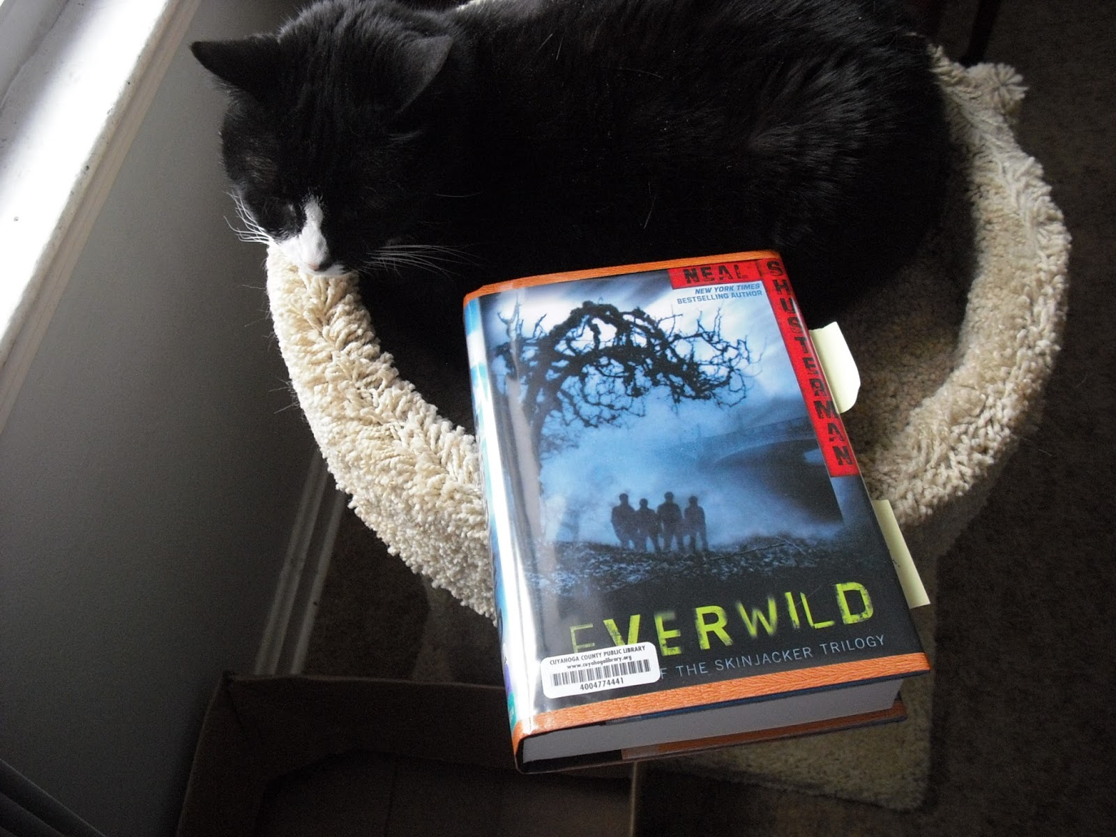 Grab A Book From Our Stack: "Everwild" by Neal Shusterman (Skinjacker ...