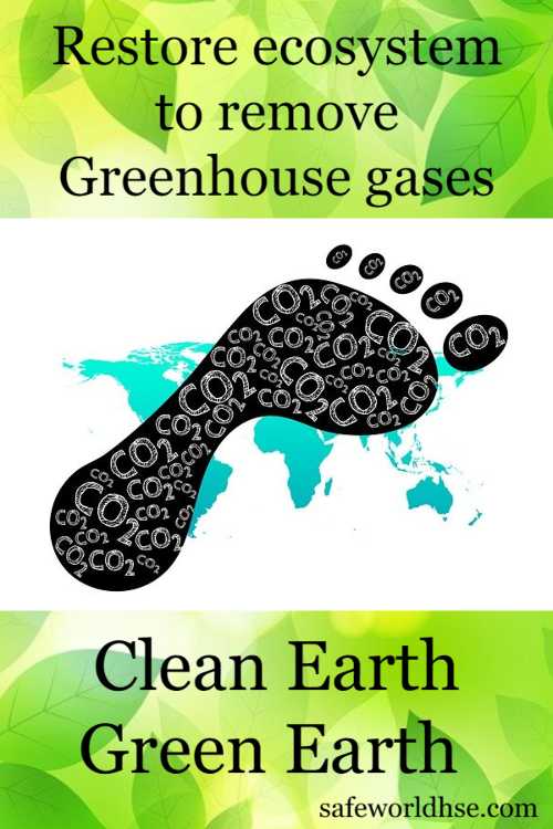 Popular Environment Slogans on Ecosystem Restoration – Environment ...