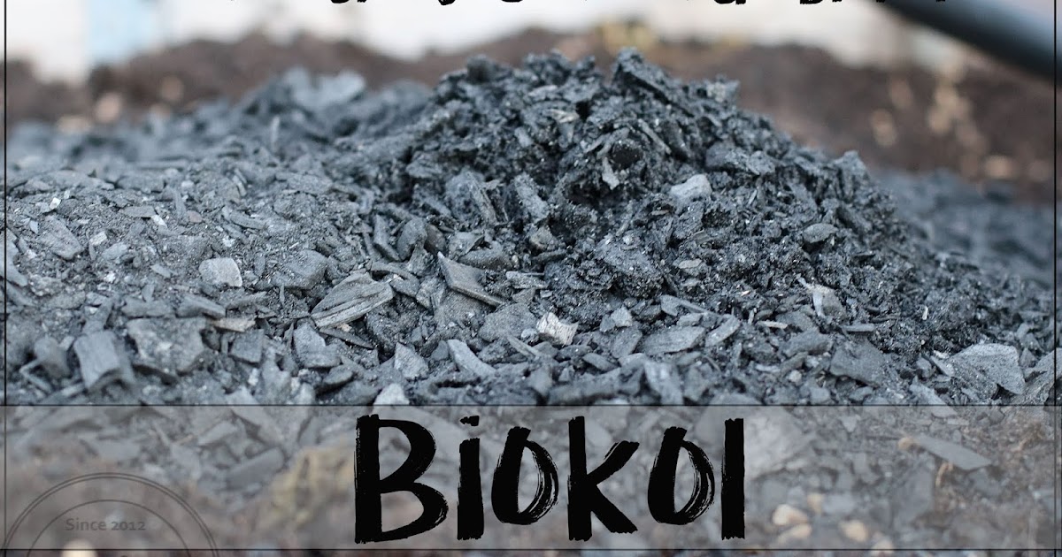 Drömgården: Biokol? - Därför ska jag testa!