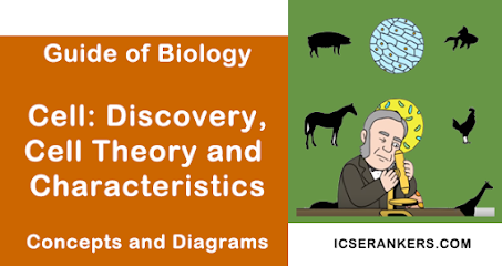 Discovery of Cells, Cell Theory and Characteristics of Cell
